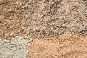 The Six Different Types of Soil and Why Gardeners Should Care